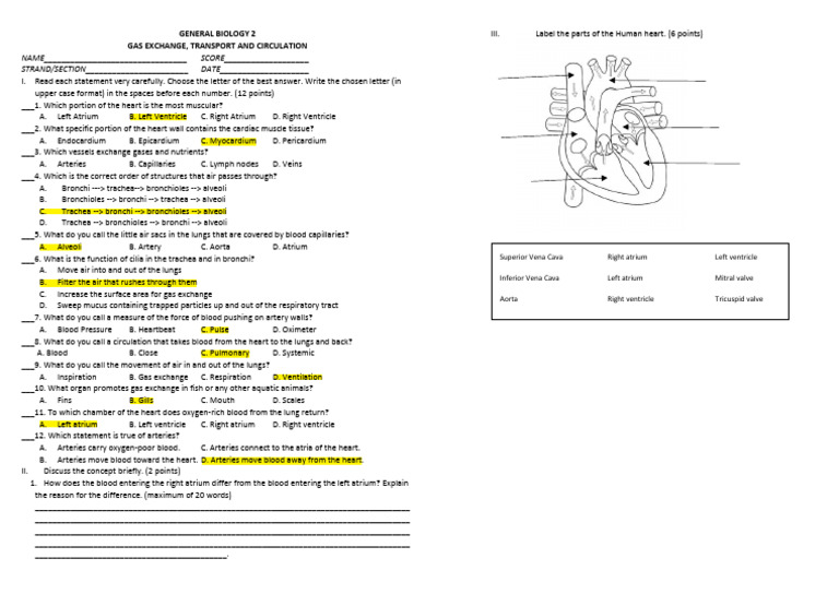 Heart Anatomy and Function Quiz | PDF | Heart | Atrium (Heart)