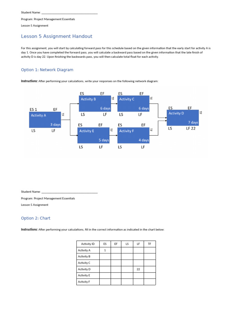 Lesson 5 Assignment Handout | PDF