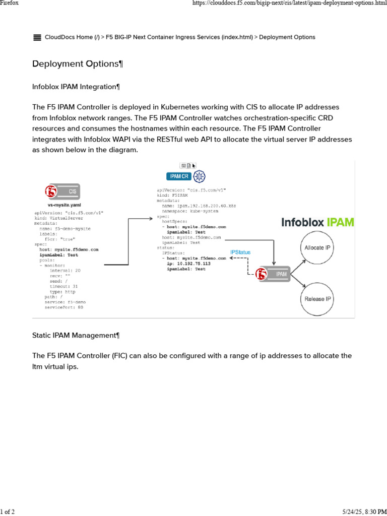 Ipam Deployment Options - HTML | PDF