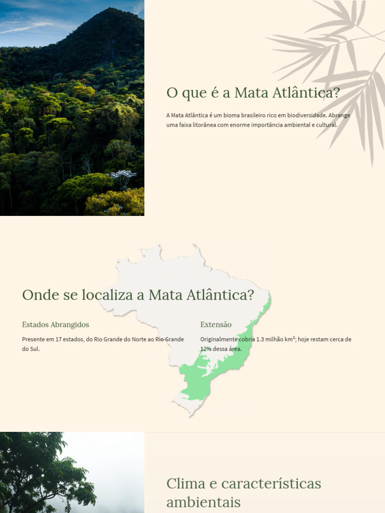 Características da Mata Atlântica | PDF | Biodiversidade | Florestas