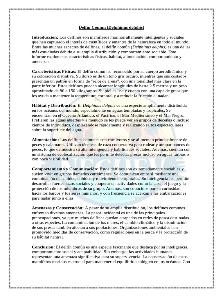 Delfín Común | PDF | Mar | Movimiento conservacionista