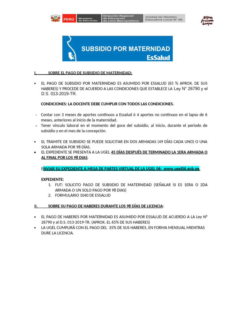 Subsidio Por Maternidad | PDF