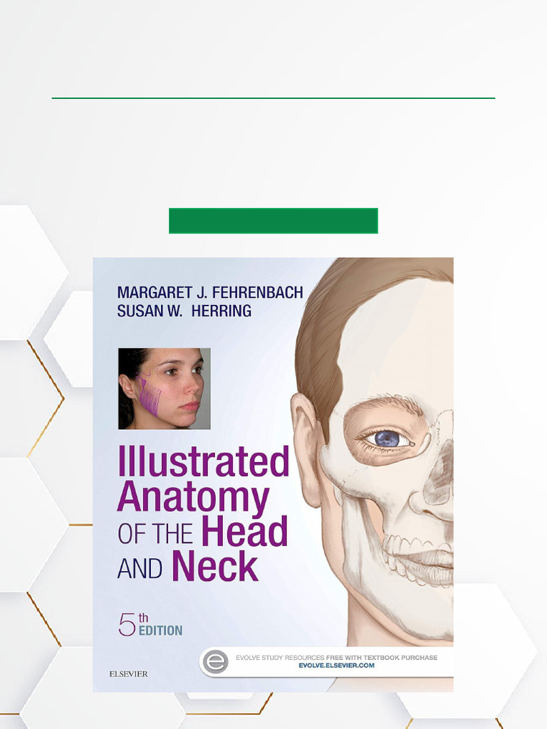 Illustrated Anatomy of the Head and Neck (Revised) - 5th Edition Full ...