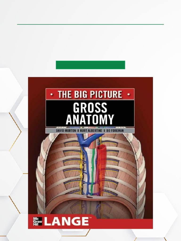 Gross Anatomy: The Big Picture PDF | PDF | Abdomen | Arm