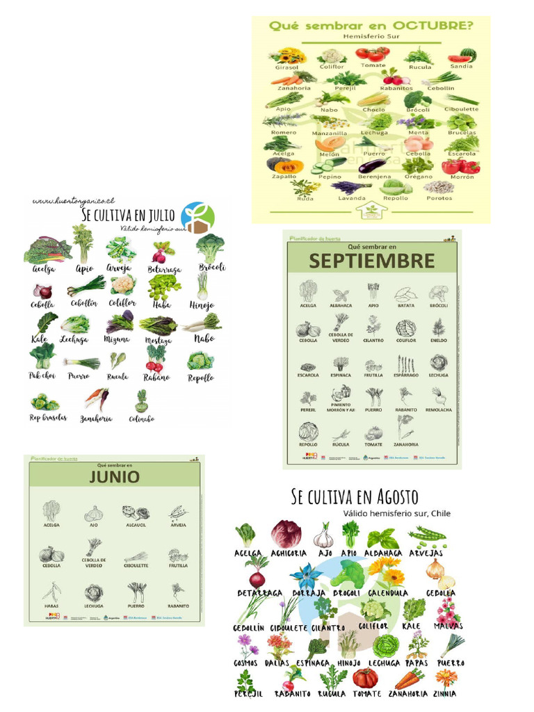 Calendario Siembra | PDF