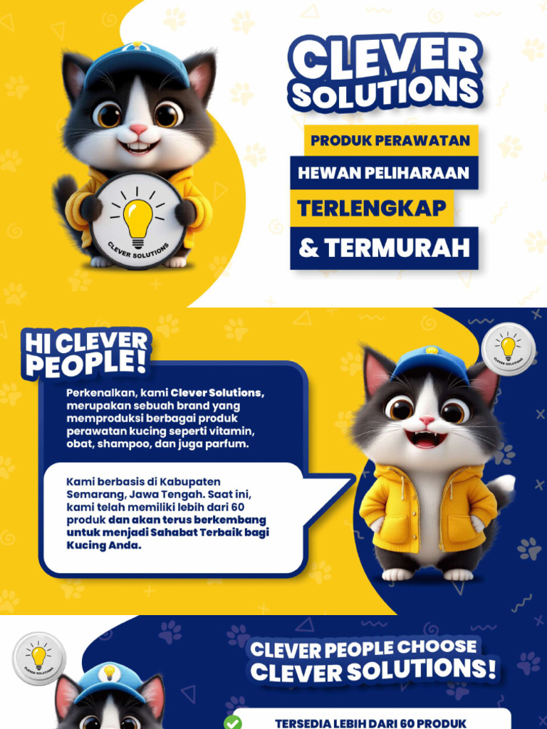 Company Profile Clever Solutions - 2025 | PDF