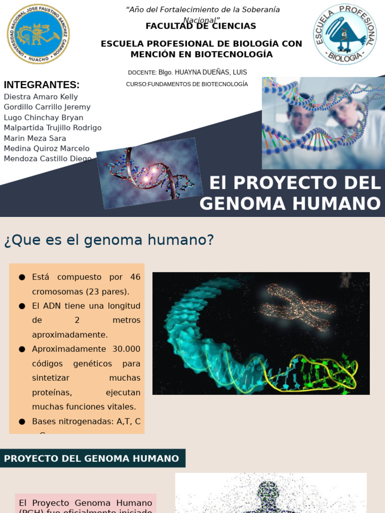 PGH Proyecto Del Genoma Humano | PDF | Gene | Adn