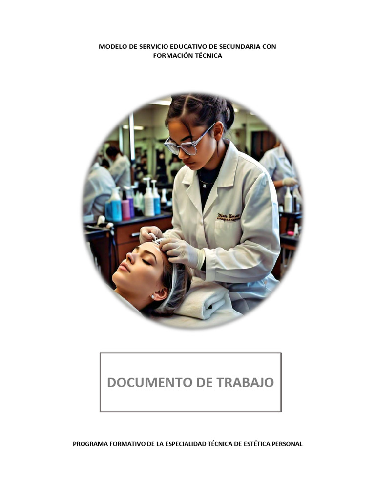 10 Programa Formativo - Estética Personal - MSE SFT - 20.04 | PDF | Multimedia | Información