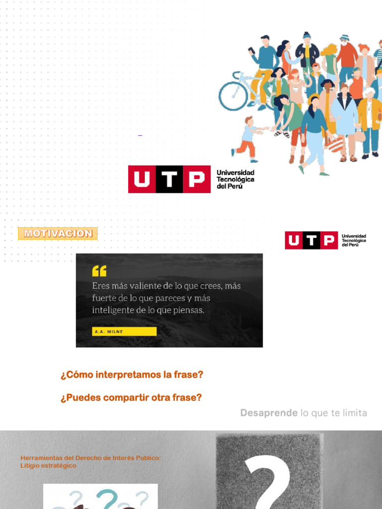 S04 Herramientas Del Derecho de Interes Publico Amicus Curiae | PDF ...