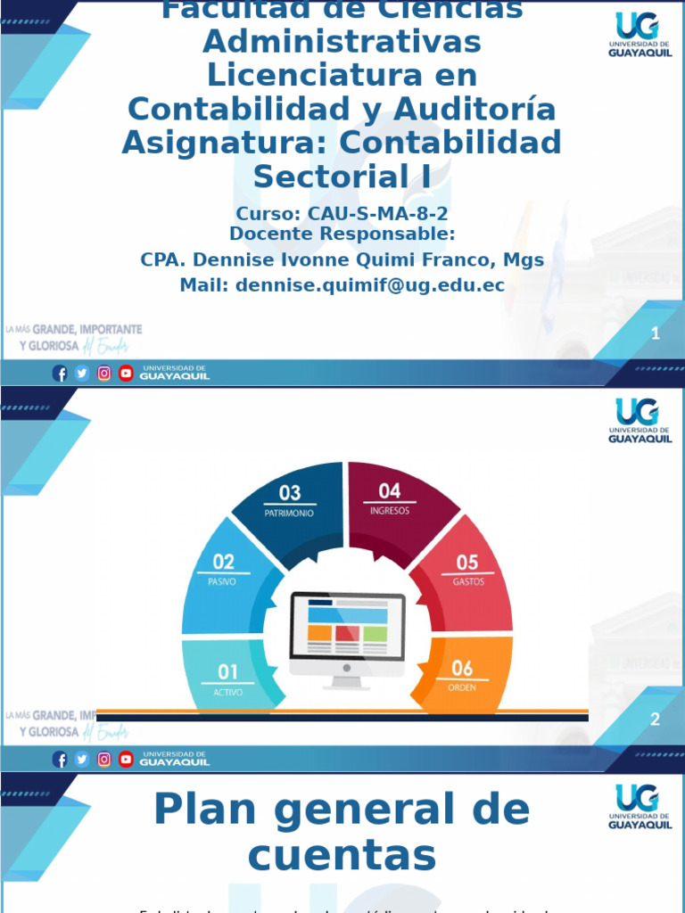 U1 S4 Estructura Del Plan de Cuentas T | PDF | Contabilidad