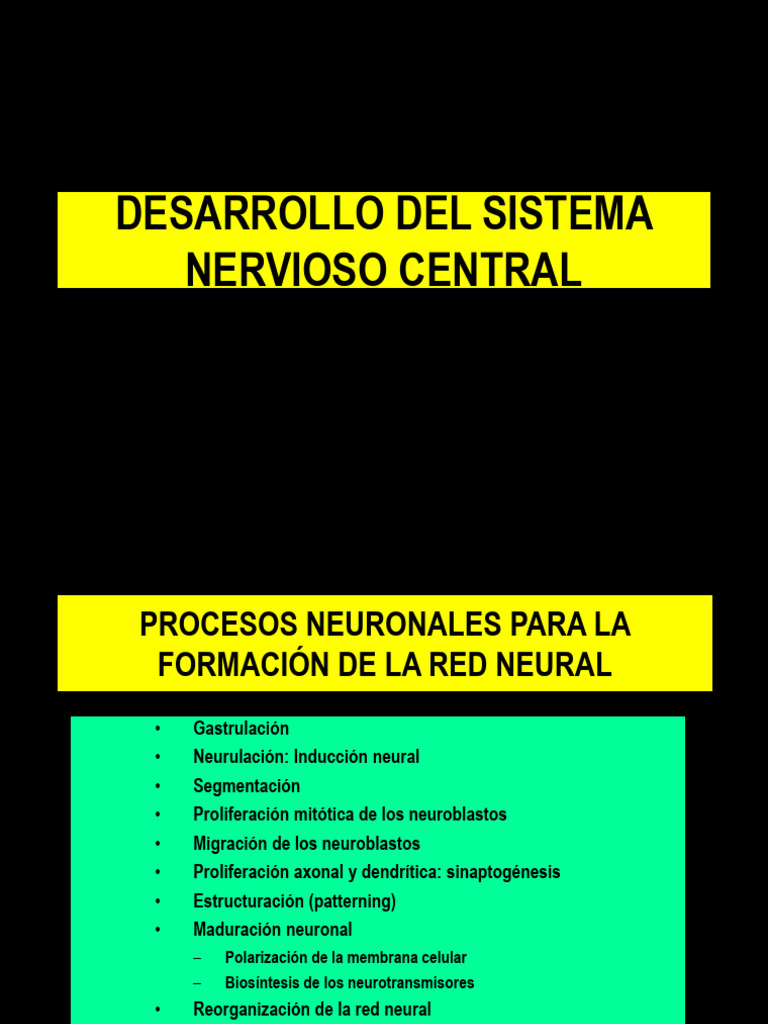 1. Embriología del SNC | PDF | Sistema nervioso | Cerebro