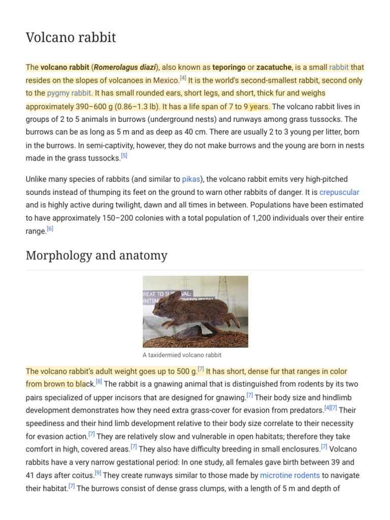 Valcano Rabbit P | PDF