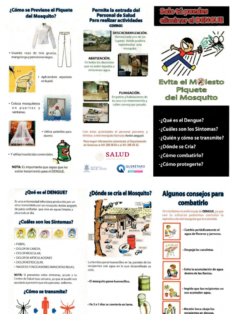 Triptico Dengue 1 | PDF
