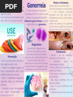 Folder Sobre Sifilis | PDF