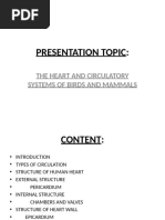 Structure of Human Heart | PDF