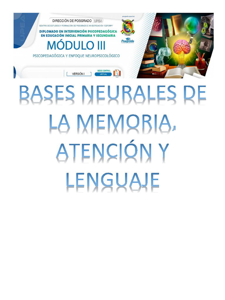 Bases Neurales de La Memoria - Mapa Conceptual | PDF
