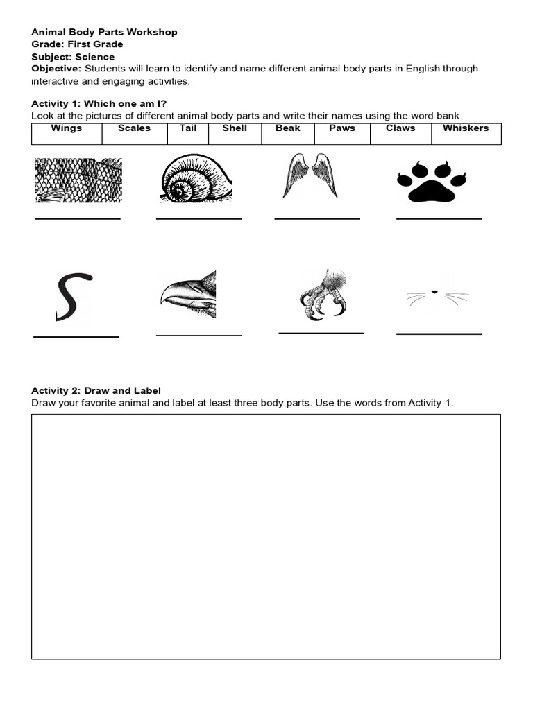 Animal Body Parts Workshop for Kids | PDF