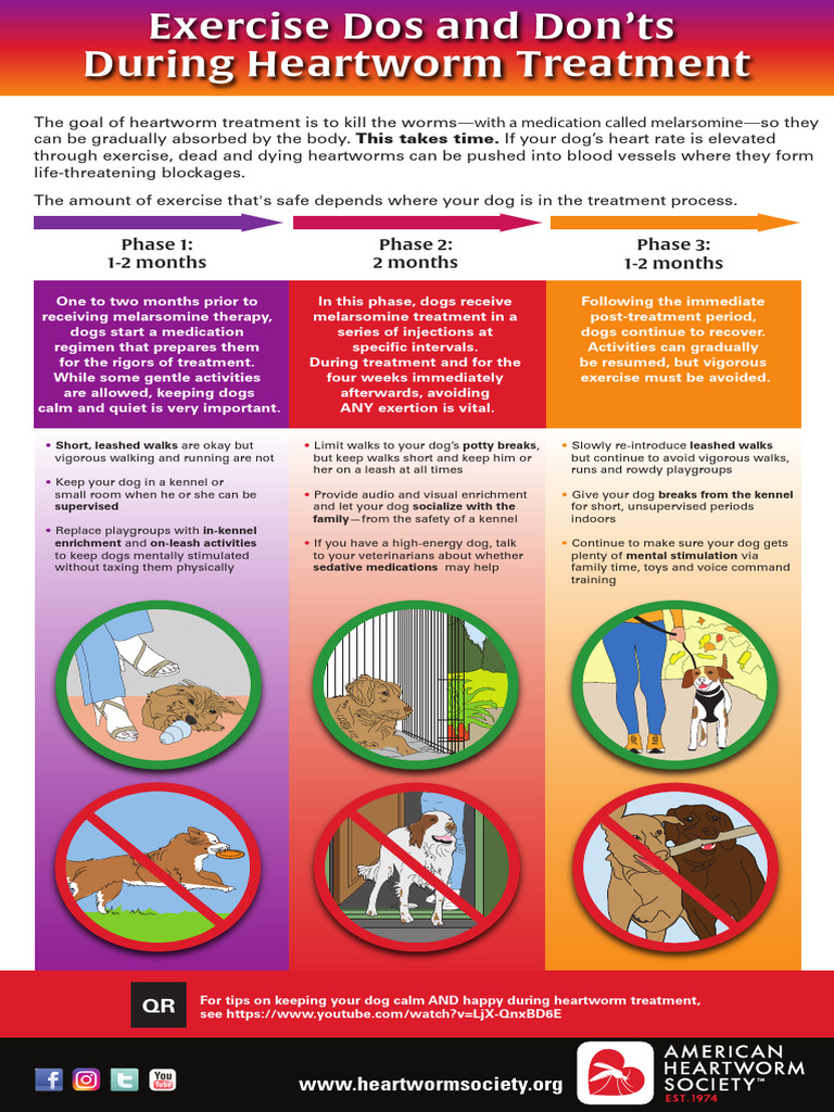 Exercise Dos Donts 02JAN2023 | PDF | Medicine | Medical Specialties