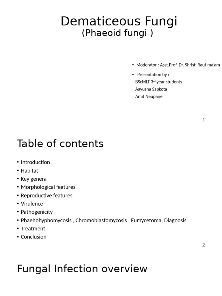 Dematiceous Fungi | PDF | Fungus | Infection