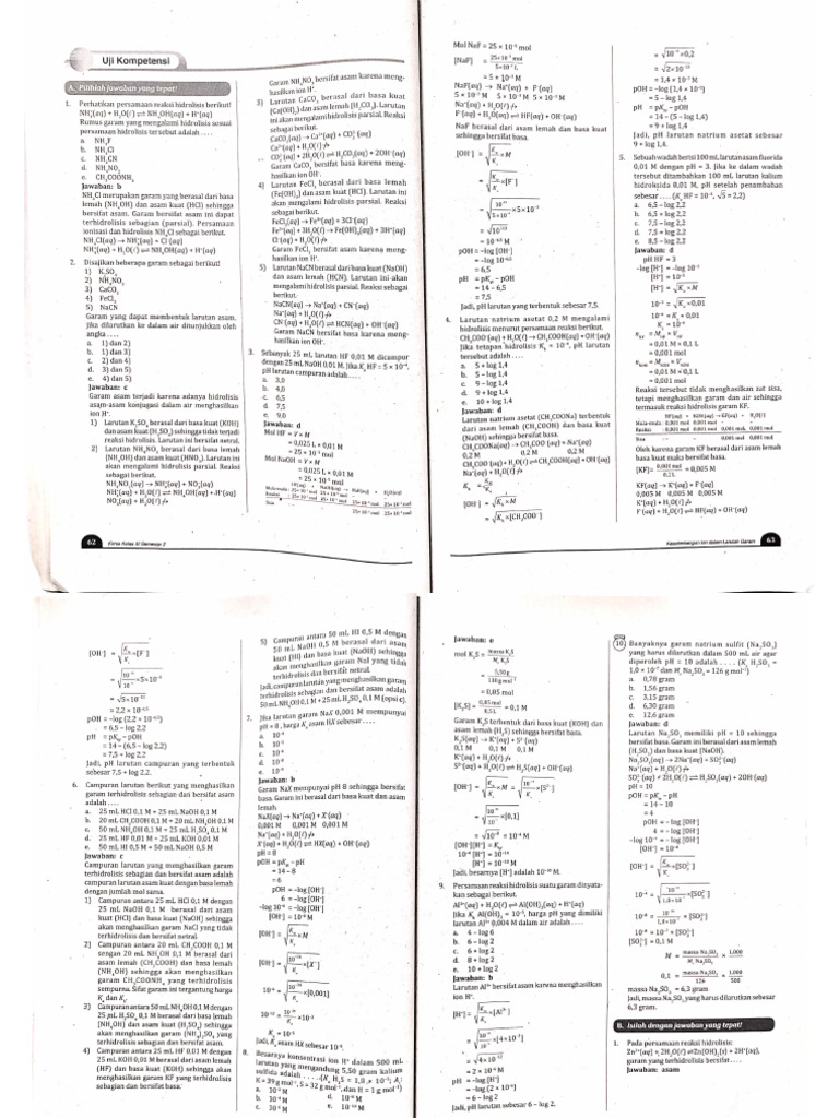 Ujikom Hidrolisis | PDF