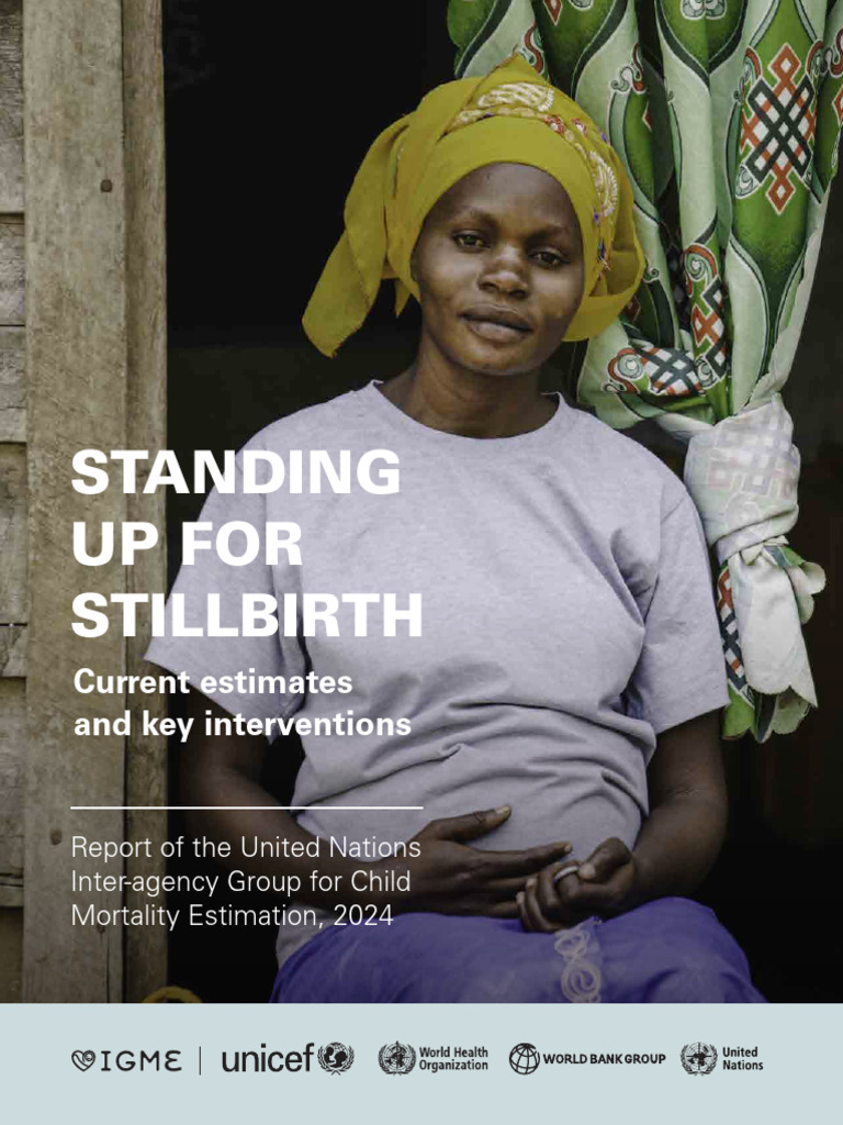 Standing Up for Stillbirth Report 2024 | PDF | Childbirth | Maternal Health