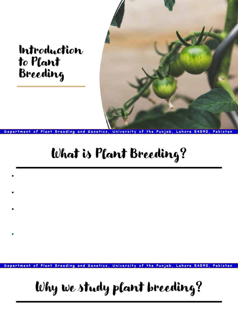 Introduction To Plant Breeding | PDF | Plant Breeding | Genetics