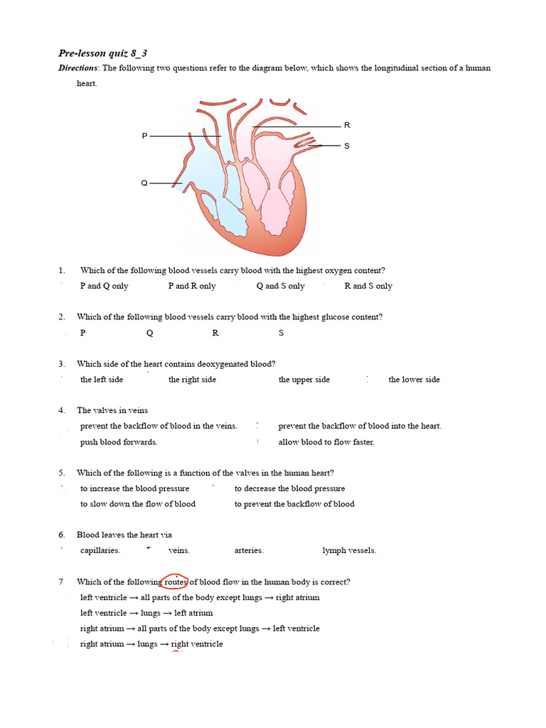 Human Heart Quiz: Blood Flow & Valves | PDF | Ventricle (Heart) | Heart ...