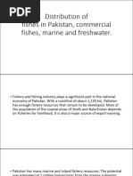 Oceanarium Case Study | PDF | Water | Nature