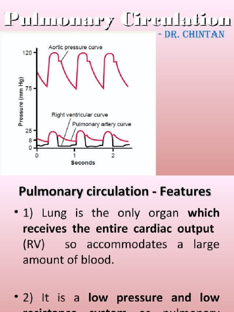 Pulmonary Circulation | PDF