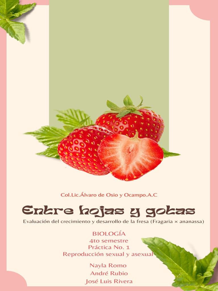 Crecimiento de plantas de fresa | PDF | fresa | Ciclo celular