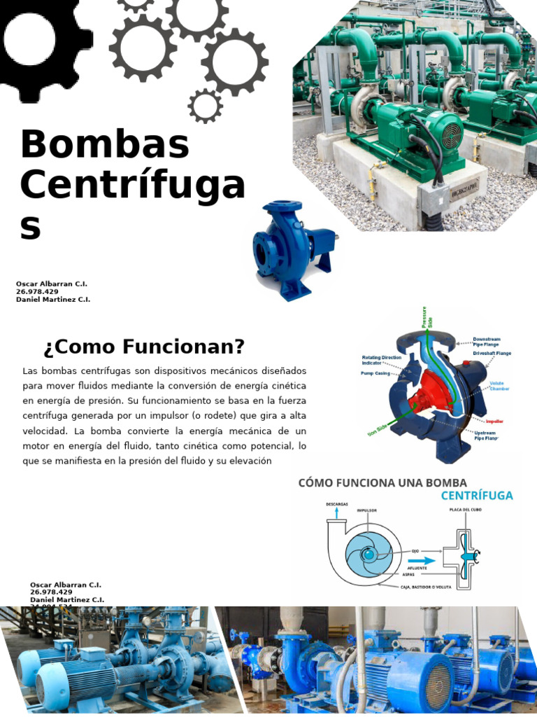 Bombas Centrífugas | PDF | Bomba | Rodamiento (Mecánico)