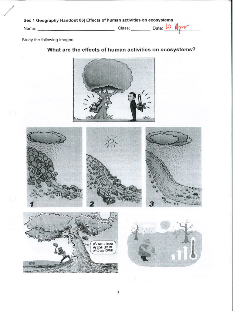 Effects of Human Activities On Ecosystems (Annotated) | PDF