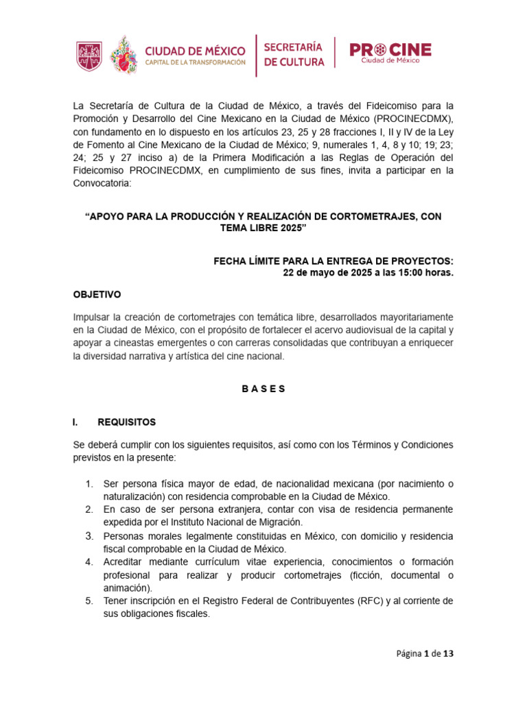 Convocatoria PROCINE 2025: Cortometrajes | PDF | México | Presupuesto