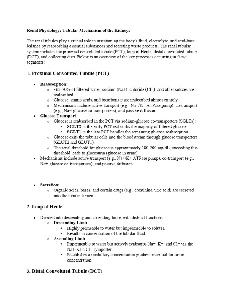 Renal Tubule Transport Mech | PDF | Kidney | Organ (Anatomy)