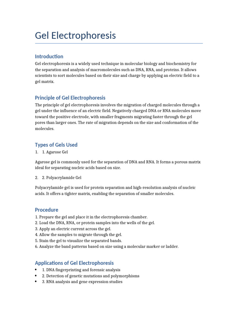 Gel Electrophoresis Assignment | PDF