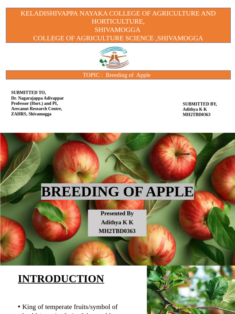 Apple Breeding - adithyaKK | PDF | Flowers | Apple