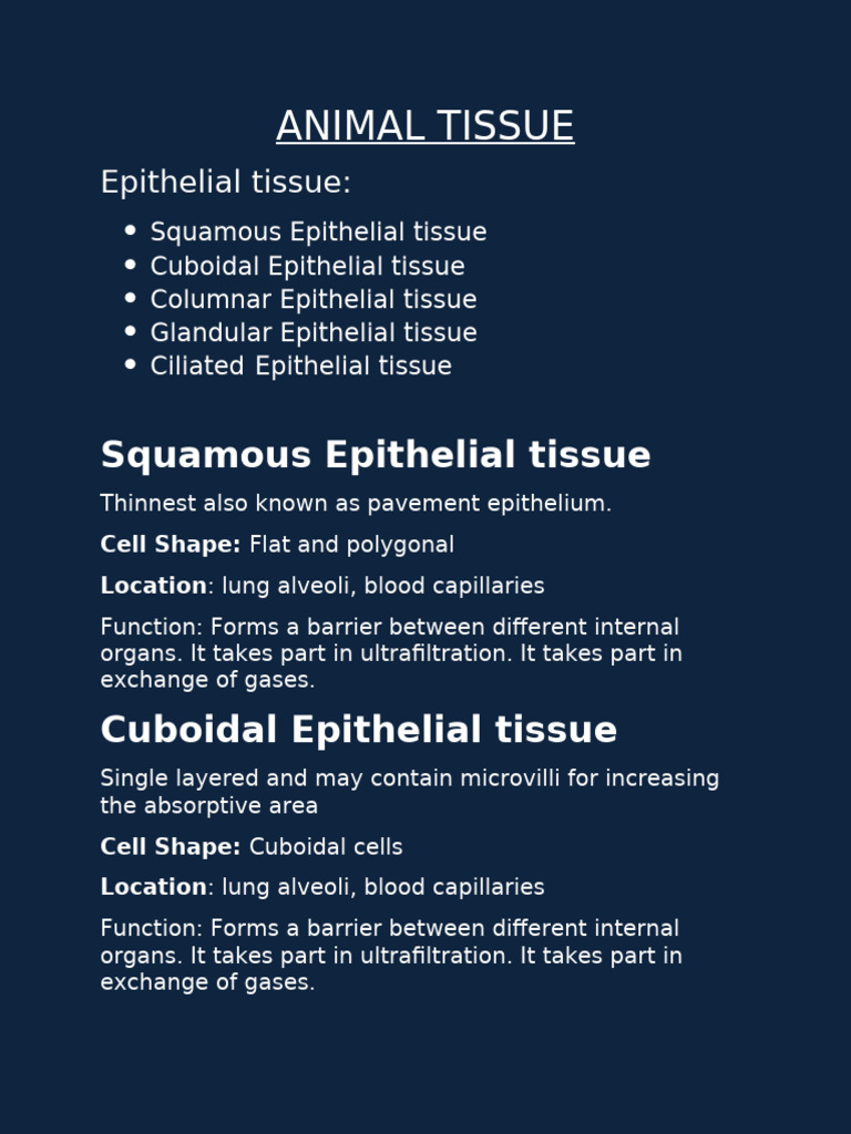 Animal Tissue | PDF