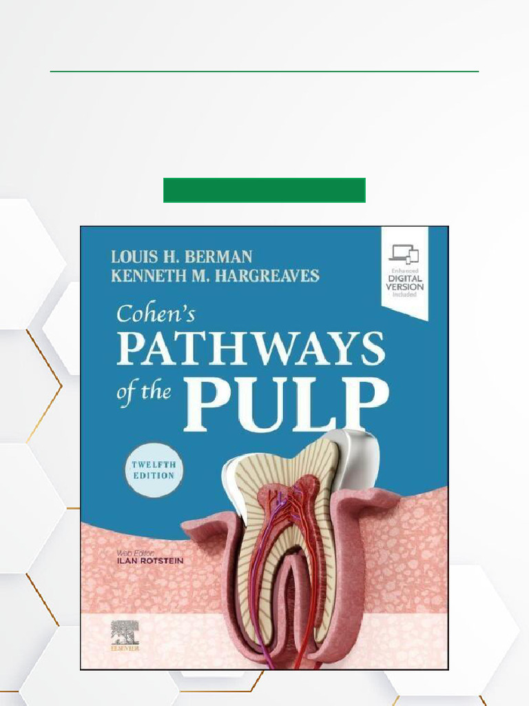 Cohen's Pathways of The Pulp E Book, 12th Edition | PDF
