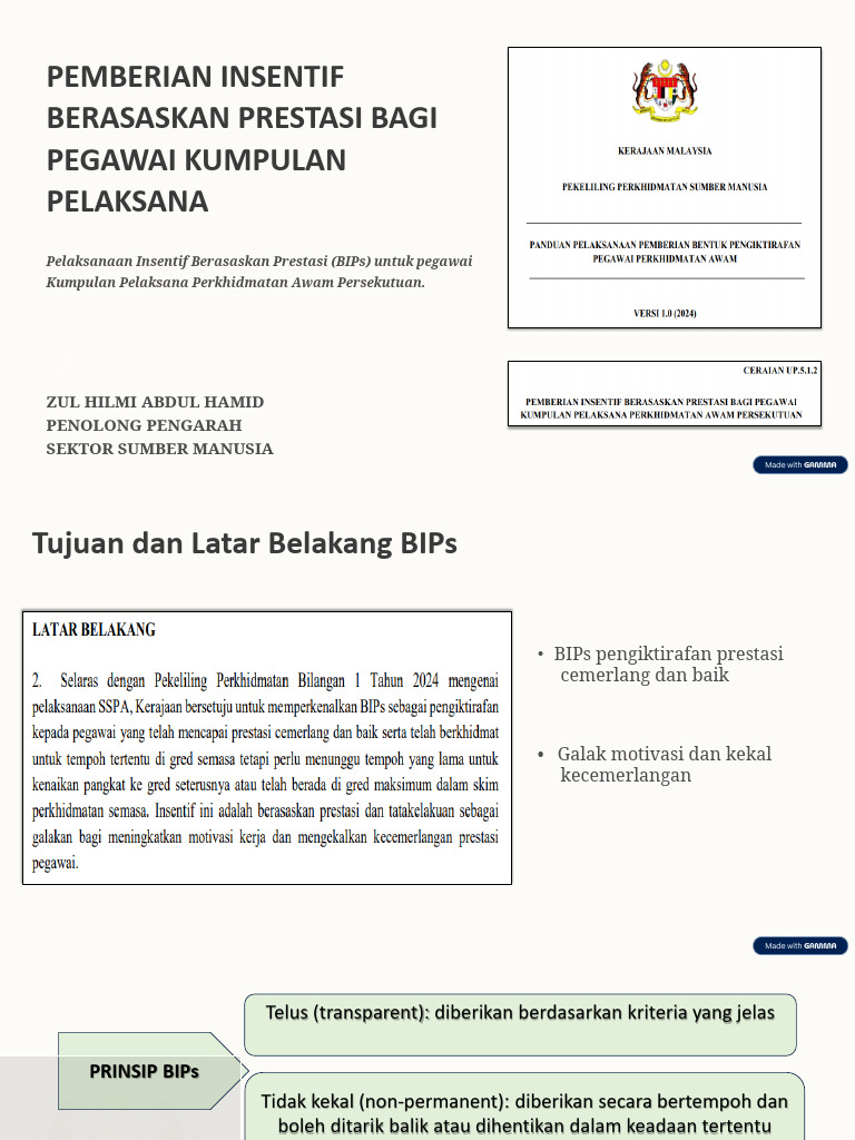 BIPs | PDF