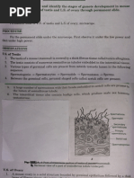 Class 12 Biology Experiment TS of Testes and LS of Ovary | PDF