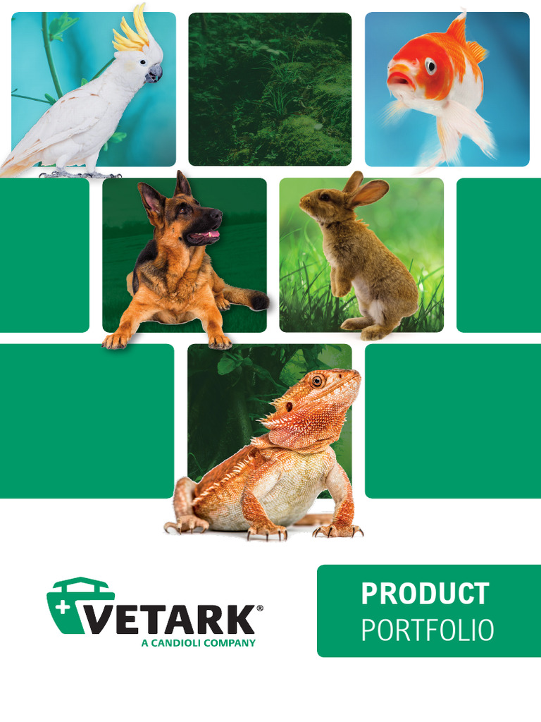 214155-Brochure - Digital Version | PDF | Magnesium | Dietary Supplements