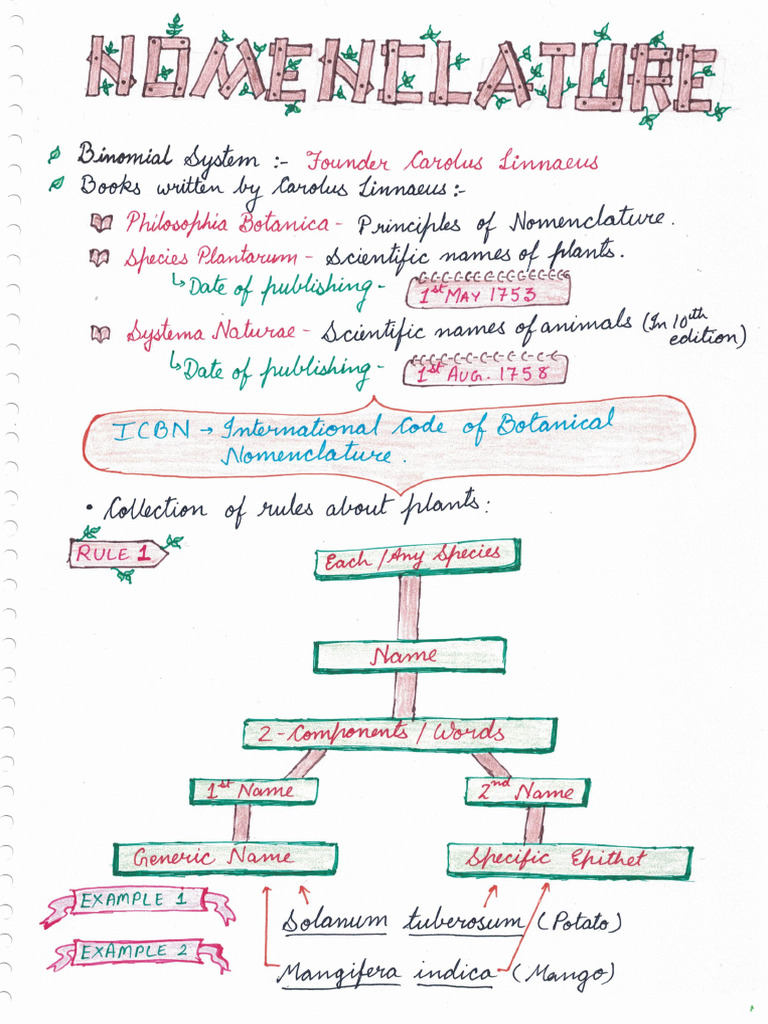 Botany 11th 1WM Sample | PDF