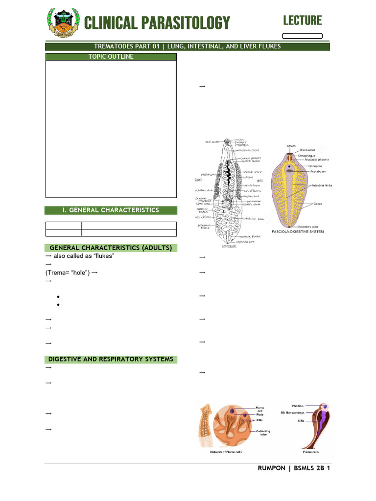 Clinical Parasitology Trans 11 Lecture Finals | PDF