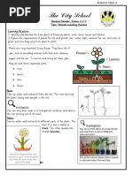 Plant Structure and Functions Guide | PDF | Plants | Leaf