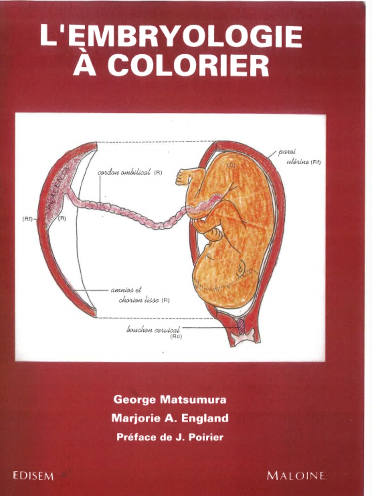 Embryologie À Colorier | PDF