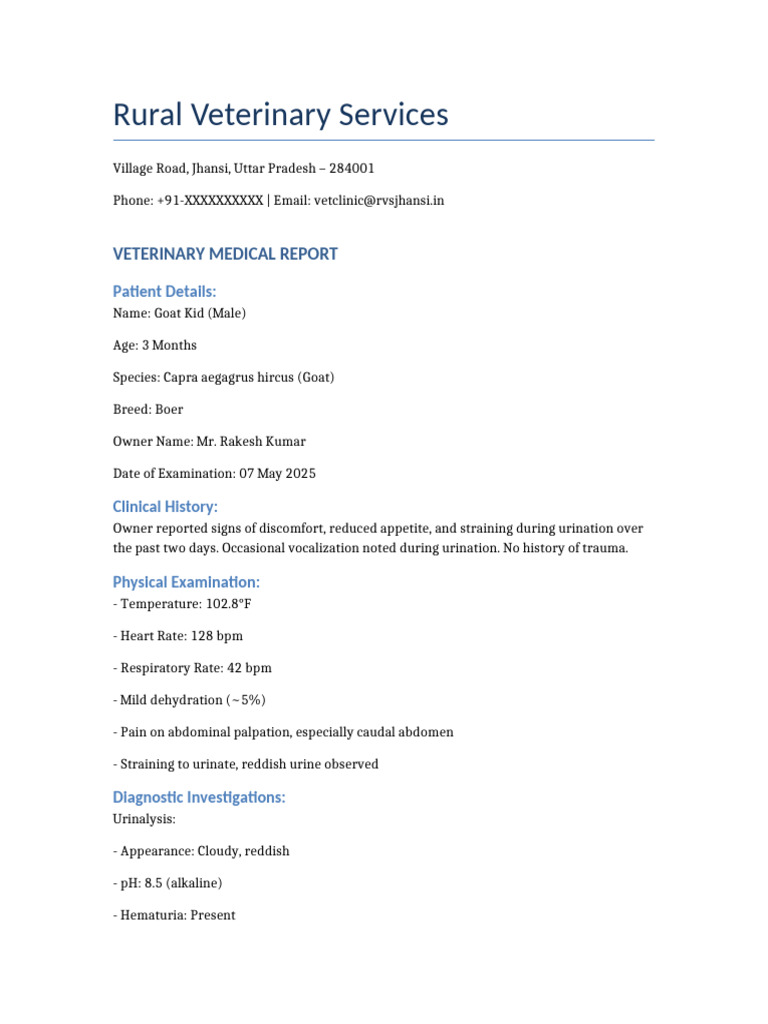 Goat Kid Kidney Stone Report | PDF