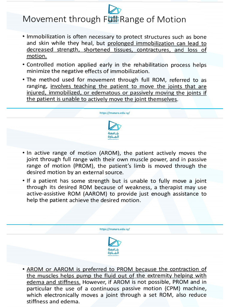 ROM, Strength, Endurance | PDF