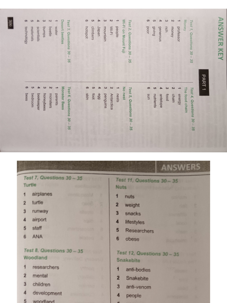 Multilevel Reading Achiever C1 | PDF