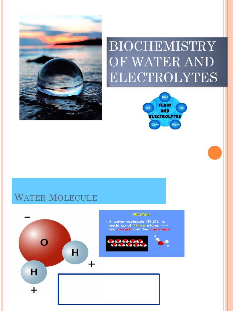 Biochemistry of Water and Electrolytes | PDF | Electrolyte | Water