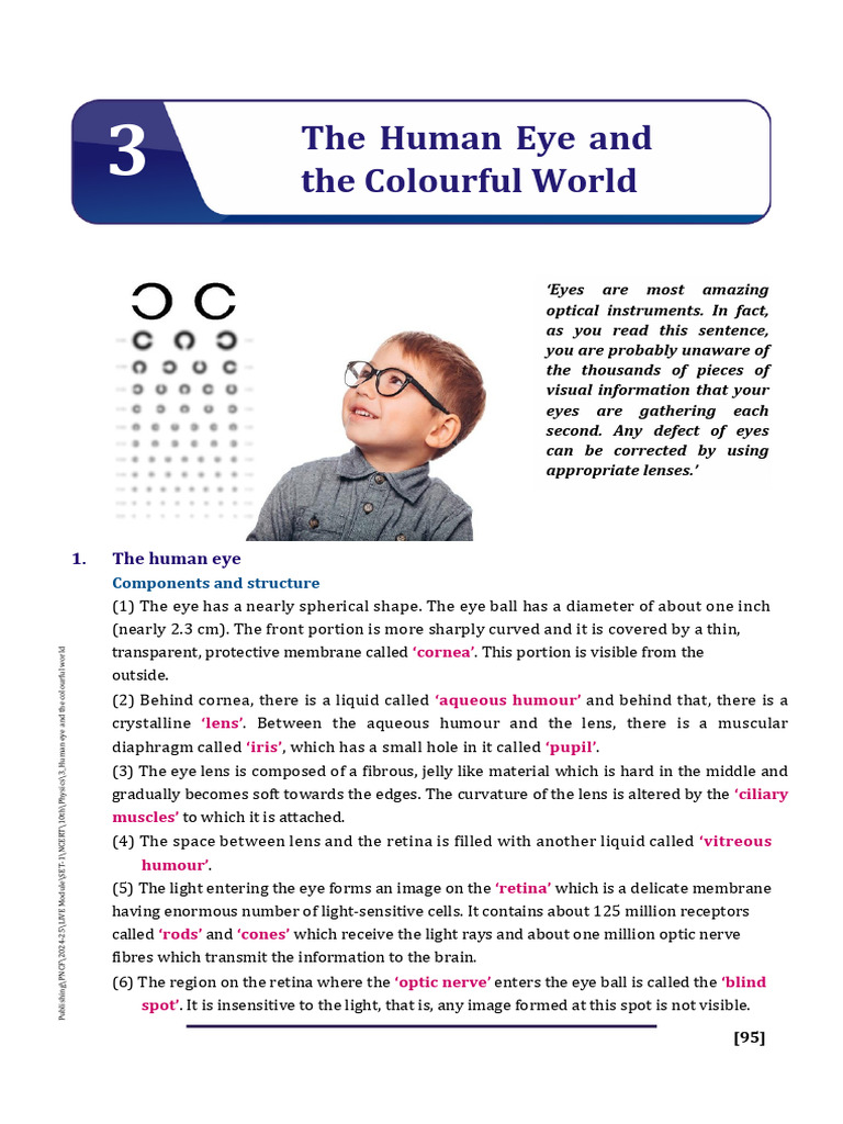 The Human Eye NCERT Theory - PDF - 20250525 - 124229 - 0000 | PDF | Eye ...